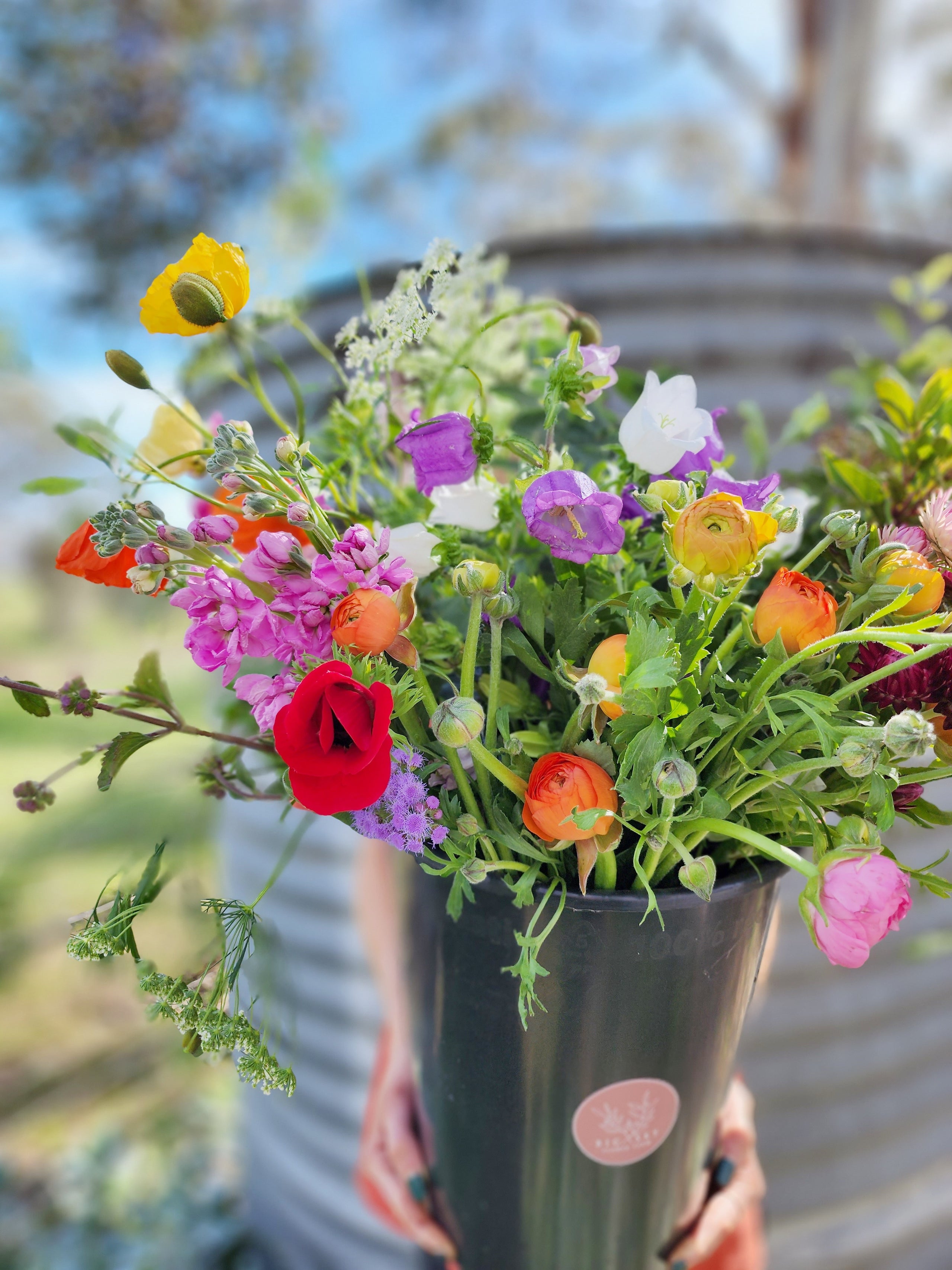 Winter Bloom Buckets - Pre Order 14 April 25 - 14 Sep 25 | Big Sky ...